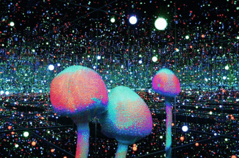 Contemporary Art Exhibition GIFs - Get the best GIF on GIPHY