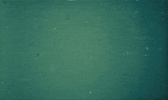 Direct Cinema GIFs - Get the best GIF on GIPHY
