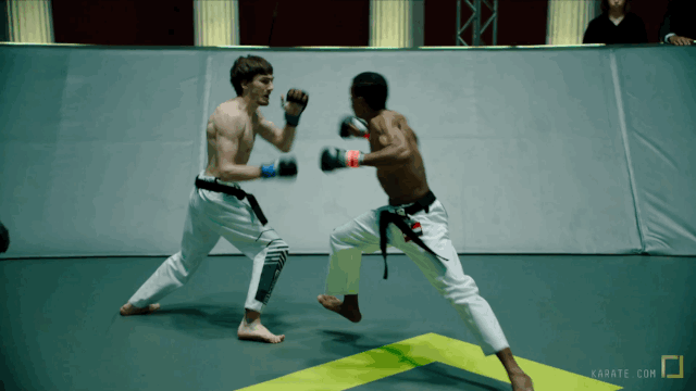 Sport Mma GIF by Karate Combat - Find & Share on GIPHY