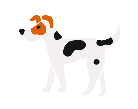 Jack Russell Dog Sticker by Emily Redfearn for iOS & Android | GIPHY