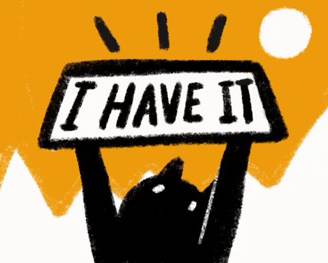 Found-cat GIFs - Get the best GIF on GIPHY