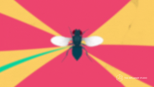 Animation Fly GIF by The Explainer Studio - Find & Share on GIPHY