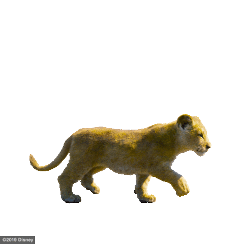 Lion Running Gif