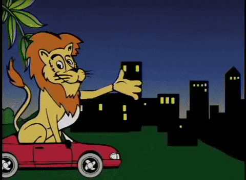 Bob-rohrman GIFs - Get the best GIF on GIPHY