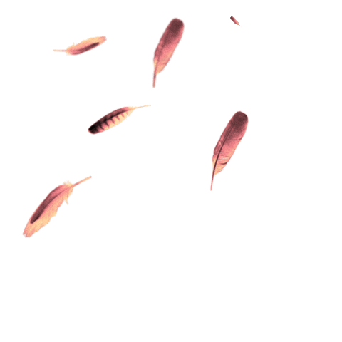 Amazon Music Sticker for iOS & Android | GIPHY