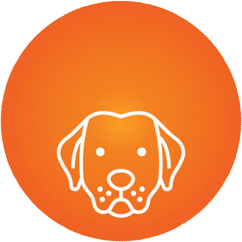 Montego Pet Nutrition GIFs on GIPHY - Be Animated
