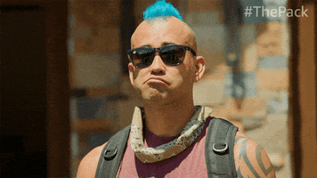 The Pack GIFs on GIPHY - Be Animated