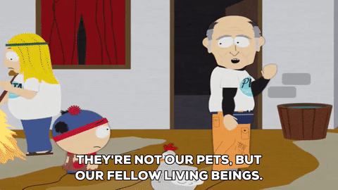 Stan Marsh Peta GIF by South Park - Find & Share on GIPHY