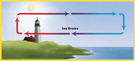 Ocean Convection Currents Animation