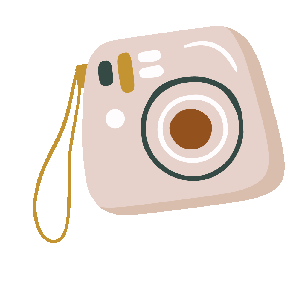 Instagram Camera Sticker by VIPAPIER for iOS & Android | GIPHY