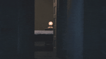 Cobweb GIFs on GIPHY - Be Animated