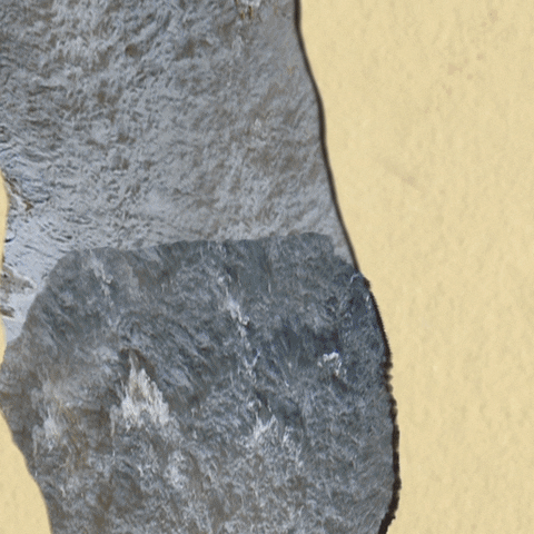 844 Million GIFs - Get the best GIF on GIPHY