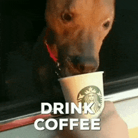 Dogs Drinking Coffee