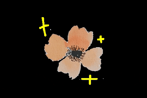 Anemone GIF - Find & Share on GIPHY