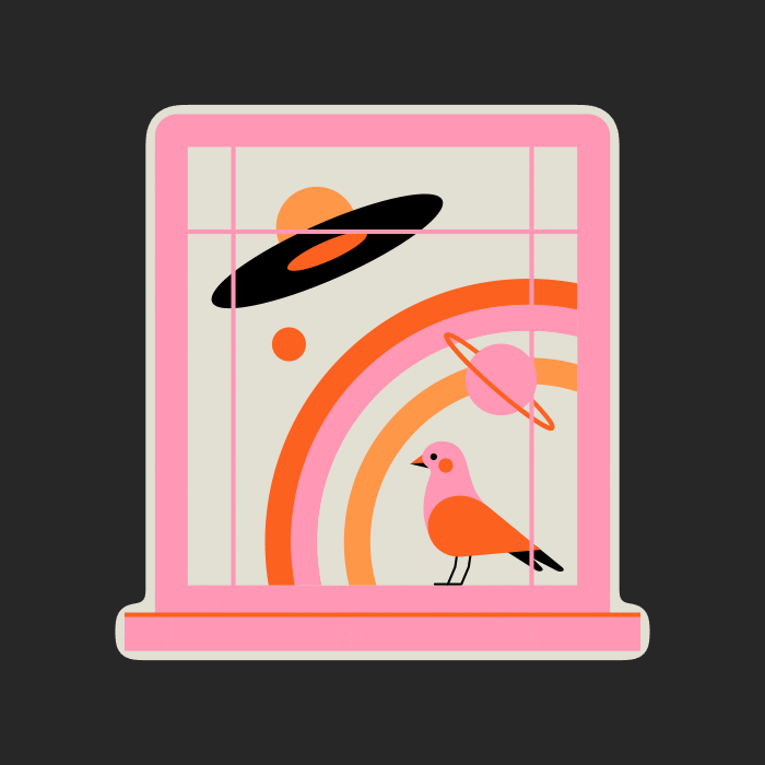Rainbow Bird GIF - Find & Share on GIPHY