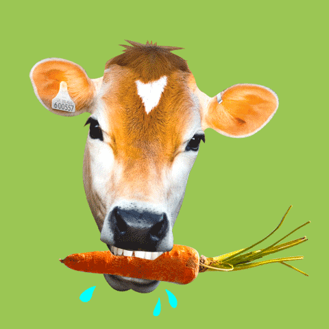 Voluntary GIFs - Get the best GIF on GIPHY