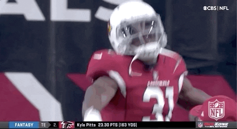 Arizona Cardinals Football GIF by NFL - Find & Share on GIPHY