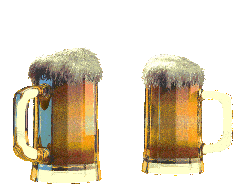 Beer Toast Gif