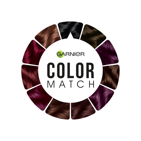 Color Match GIFs - Get the best GIF on GIPHY