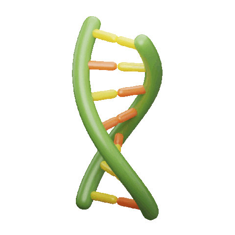 uula base GIFs on GIPHY - Be Animated