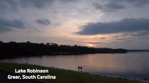 Greenville-south-carolina GIFs - Get the best GIF on GIPHY