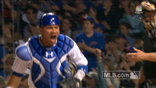 Chicago Cubs Catcher GIF by MLB - Find & Share on GIPHY