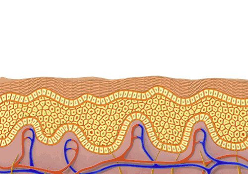 Esthetics GIFs - Get the best GIF on GIPHY