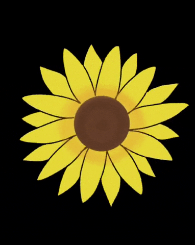 Flower Sun GIF - Find & Share on GIPHY