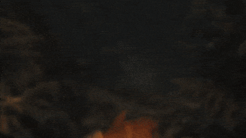 evermore GIFs on GIPHY - Be Animated