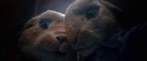 Kisses Sony GIF by Peter Rabbit Movie - Find & Share on GIPHY