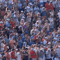 Excited Crowd Gif
