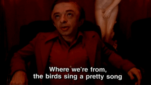 Bird-singing GIFs - Get the best GIF on GIPHY