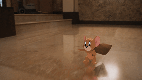 Tom And Jerry Fighting Gif