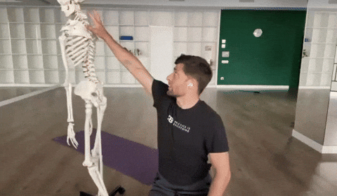 Yoga Skeleton GIF by YOGABODY - Find & Share on GIPHY