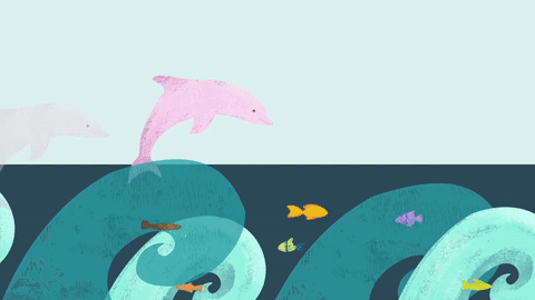 Ocean Animals Animated Gif