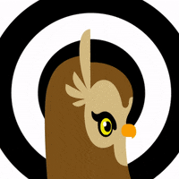 Owl Turning Head Gif