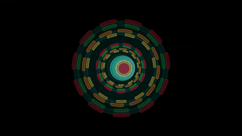 Motion Circling GIF by it.frano - Find & Share on GIPHY