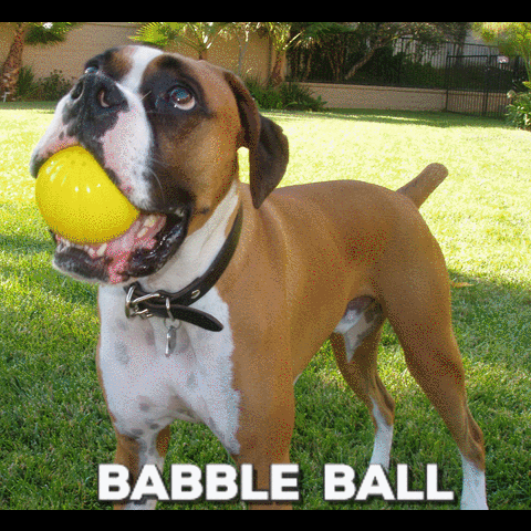 Babble Ball GIFs - Get the best GIF on GIPHY