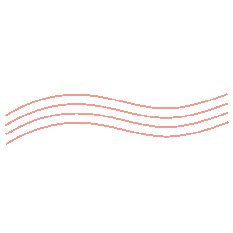 Pink Line Summer Sticker by Bloom & Wild for iOS & Android | GIPHY