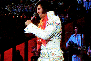 Aloha From Hawaii GIFs - Get the best GIF on GIPHY