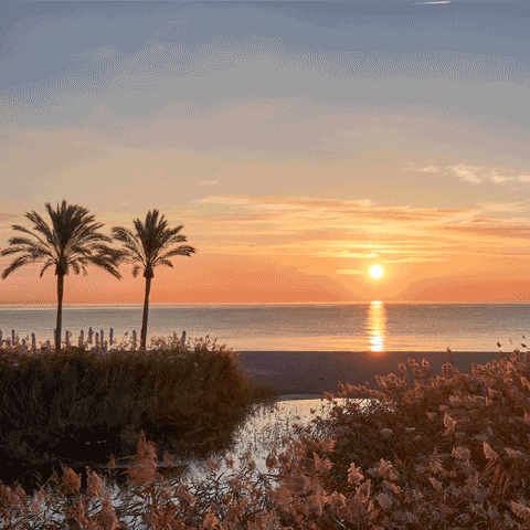 Beach Gif GIF by Spain For Sale - Find & Share on GIPHY