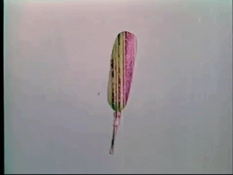 Drive-In GIF - Find & Share on GIPHY