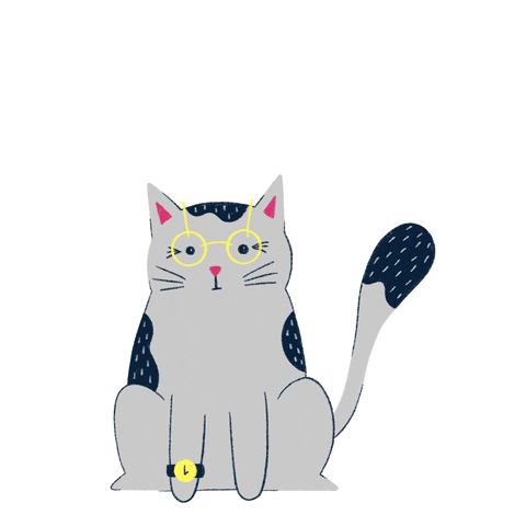 Explosion Cat GIFs - Find & Share on GIPHY