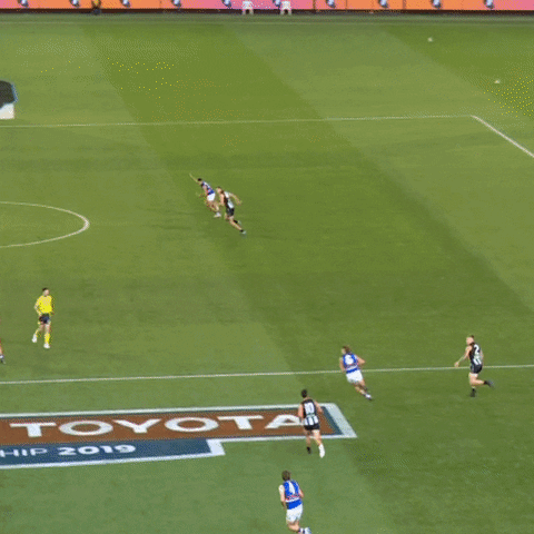 Afl Magpies GIF by CollingwoodFC - Find & Share on GIPHY