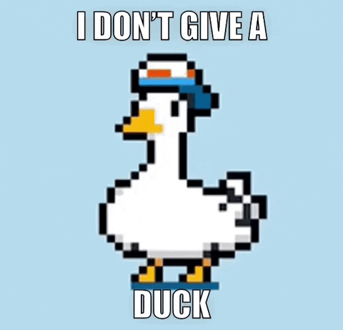 Duck Ducking GIF by 2Libras - Find & Share on GIPHY