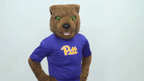 ROC The Panther by Pitt Panthers | GIPHY