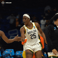 Basketball Gifs
