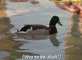 Mini-people GIFs - Get the best GIF on GIPHY