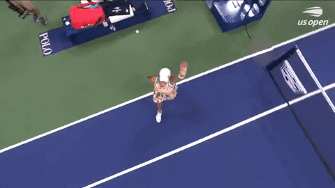 8 GIFs To Get You Ready For The US Open Final Four! by Sports GIFs | GIPHY