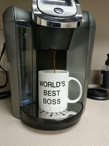 Reddit Is The Best GIFs - Get the best GIF on GIPHY